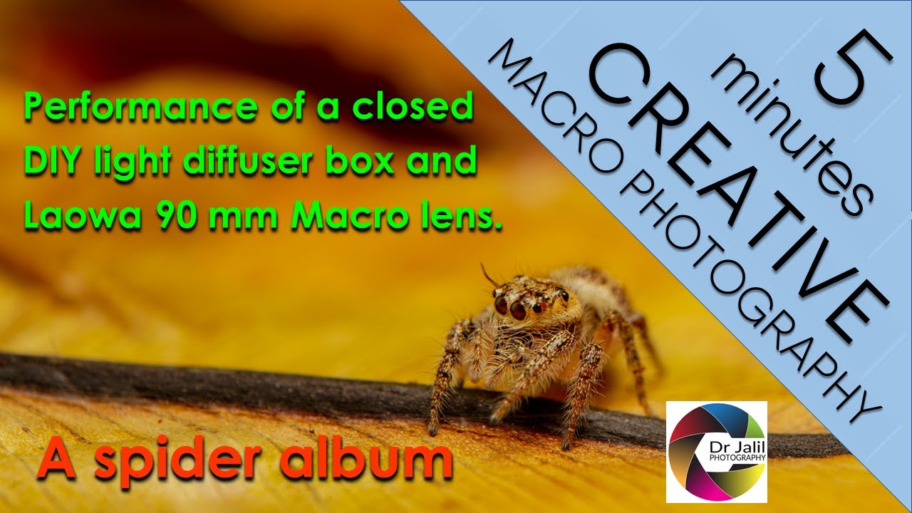 Performance of a closed DIY light diffuser box and Laowa 90 mm macro ...