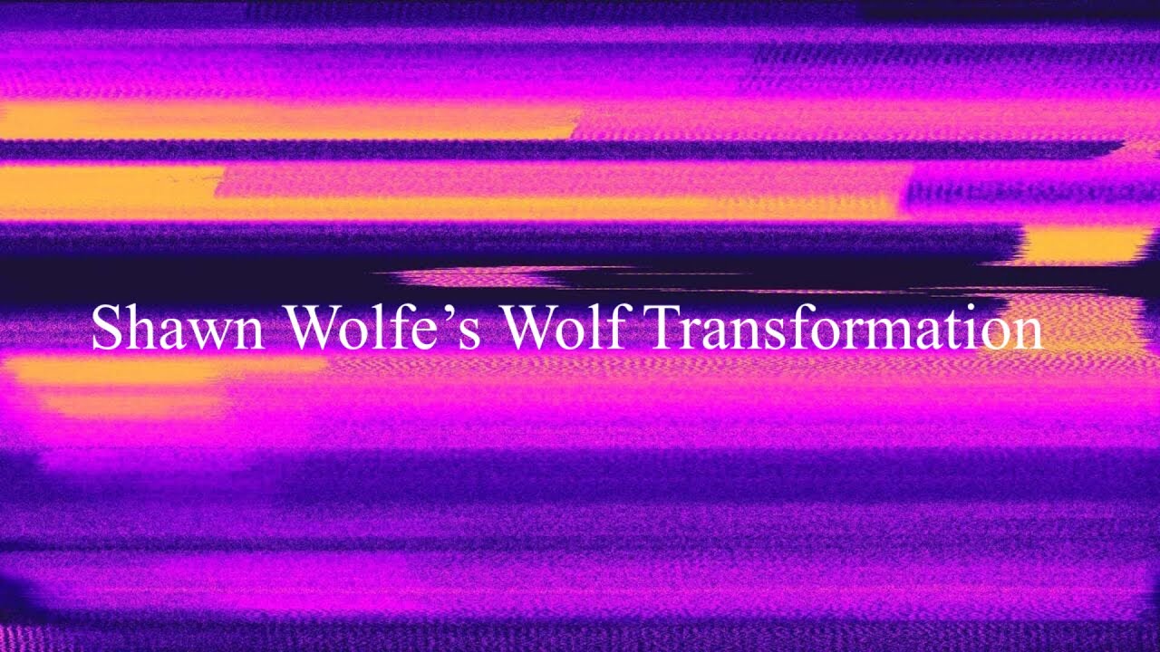 Shawn Wolfe’s Wolf Transformation - YouTube