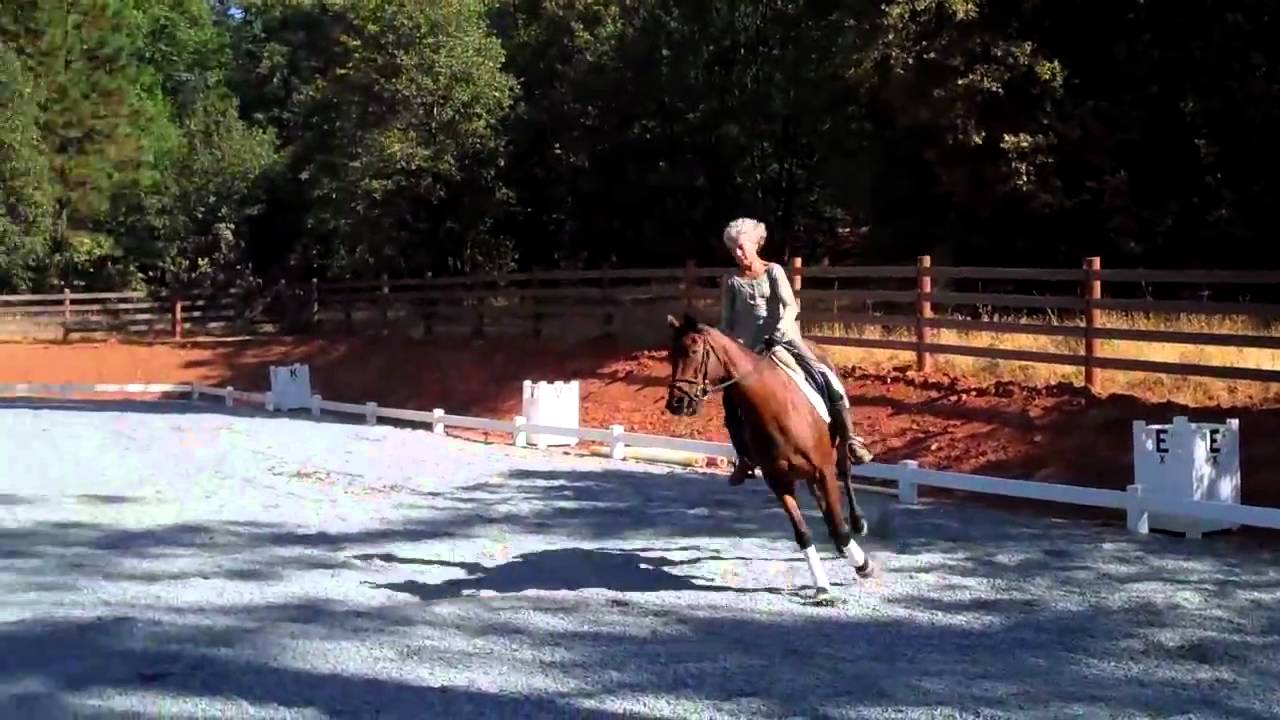 Crow's Ear Farm-Model American - YouTube
