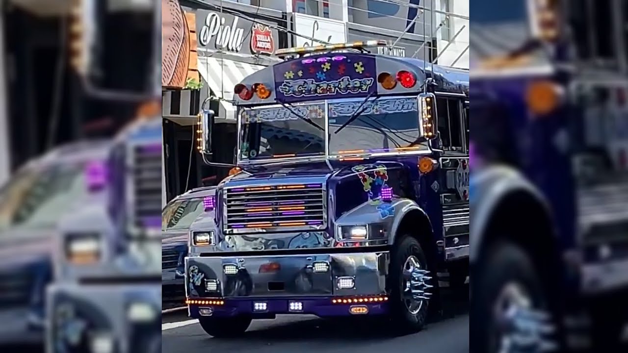 The New Barney - Valdo Bus Line, Inc. [INTERNATIONAL CHARTER BUS] 🎬🔥 ...