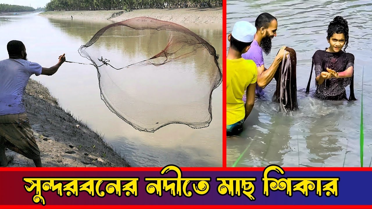 Unbelievable Cast Net Fishing | Amazing Cast Net Fishing in the Sundarbans River | Sun Sun Sunny ...