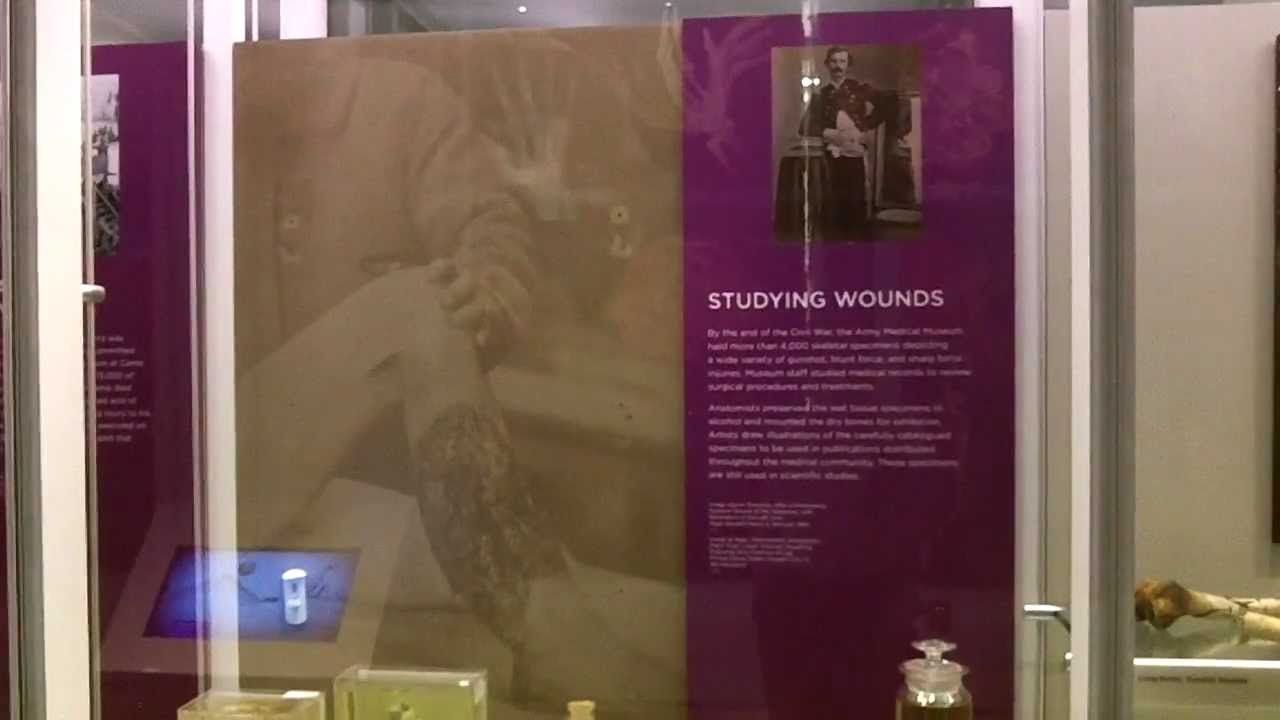 National Museum of Health and Medicine: A Little-Known Gem in the ...