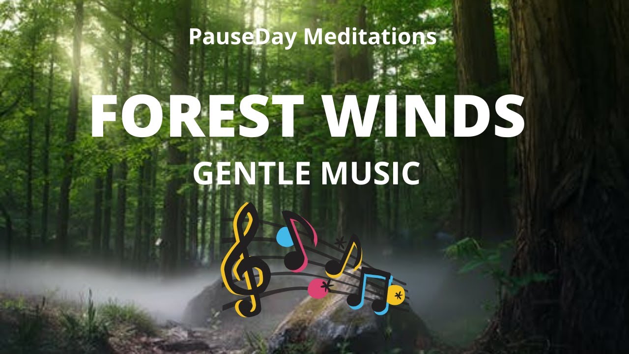 Two hours Forest Winds - Gentle Music, Relaxation, Focus - YouTube