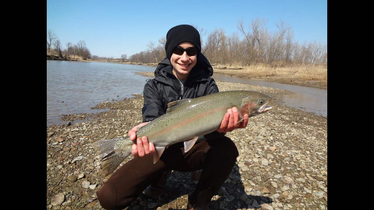 Ohio Steelhead: a good day on the Grand River - YouTube