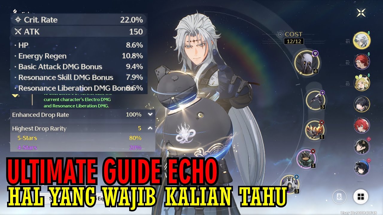GUIDE LENGKAP ECHO STATUS PENTING UNTUK ECHO | Wuthering Waves - YouTube