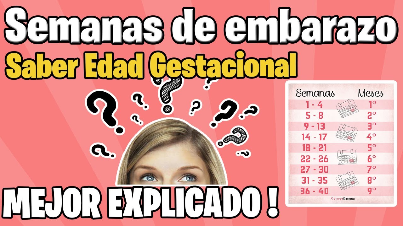 COMO SABER LA EDAD GESTACIONAL l COMO CALCULAR SEMANAS DE GESTACION ...