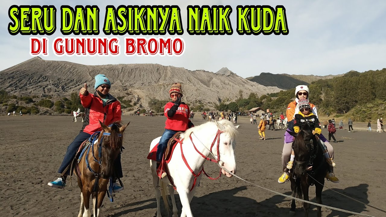 Seru dan Asiknya Naik Kuda di Gunung Bromo || Wisata Bromo - YouTube