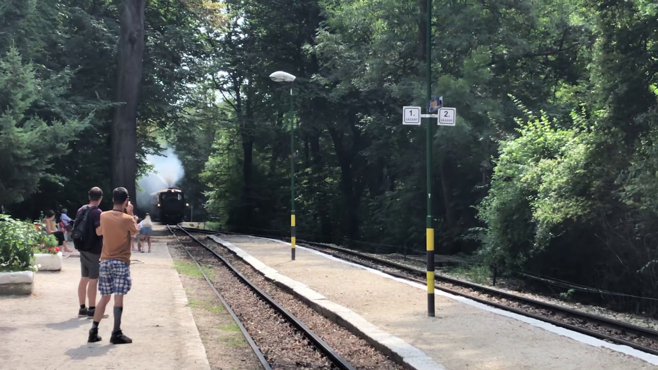Budapest Children’s Railway (Steam train arrives at Virágvölgy) - YouTube