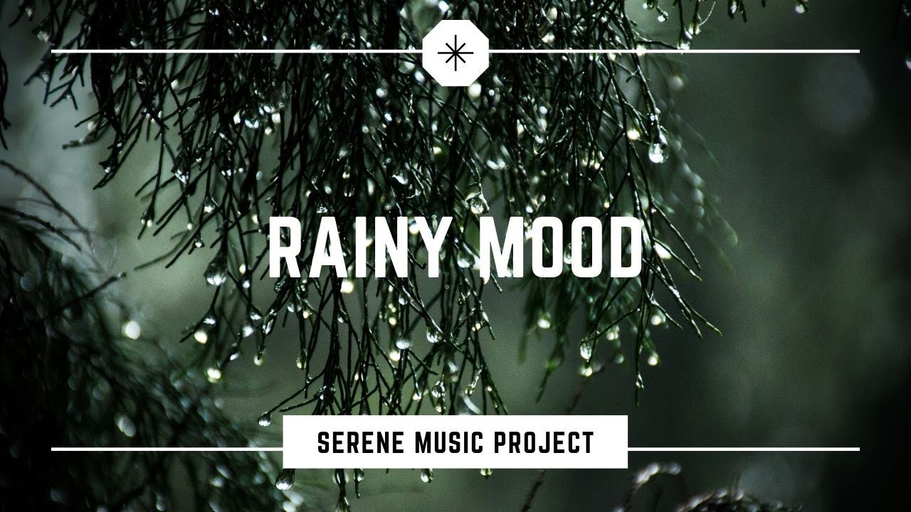 Beautiful Piano Music 🎵 with Gentle Rain: Instrumental Background Music ...