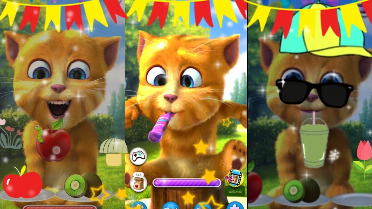 Talking ginger !! Talking ginger cat !! Talking ginger 2 !! Talking ...
