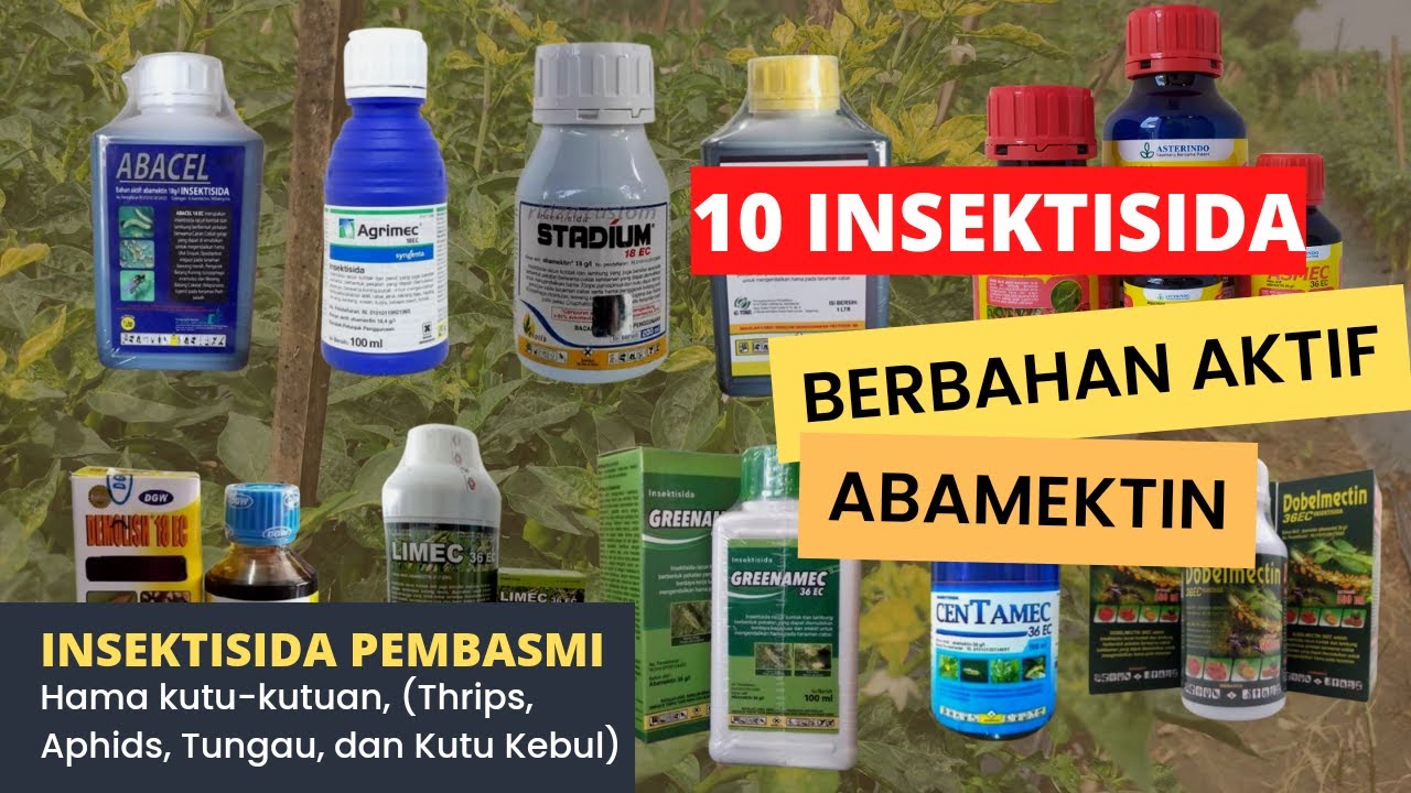 Mengenal Insektisida Berbahan Aktif ABAMEKTIN dan Keunggulannya - YouTube