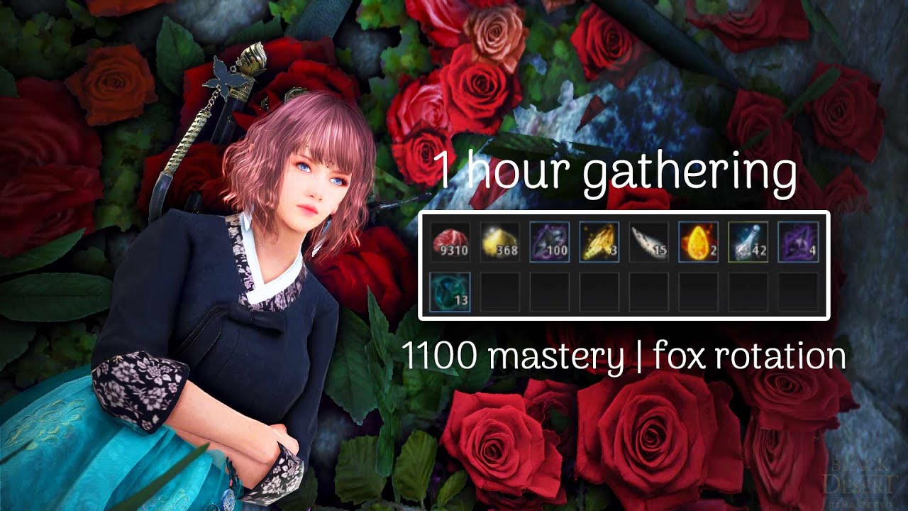 BDO 1 Hour Gathering at Fox 1100 Mastery Speedrun - YouTube
