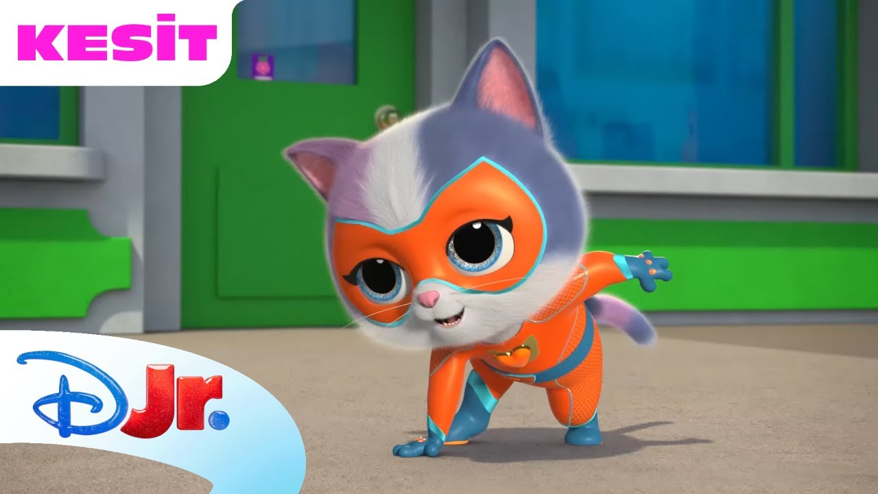 Tüy Yumağı Topu 😸 | Süper Kediler | @DisneyPlusTR - YouTube