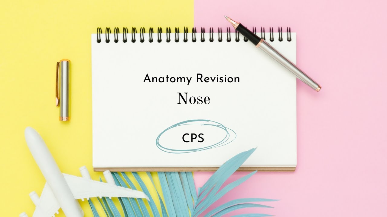 Nose Revision - YouTube