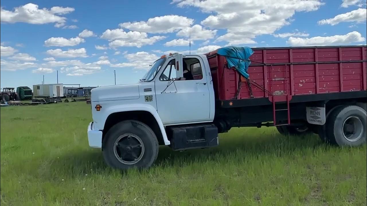 1977 Chev C6500 Grain Truck - YouTube