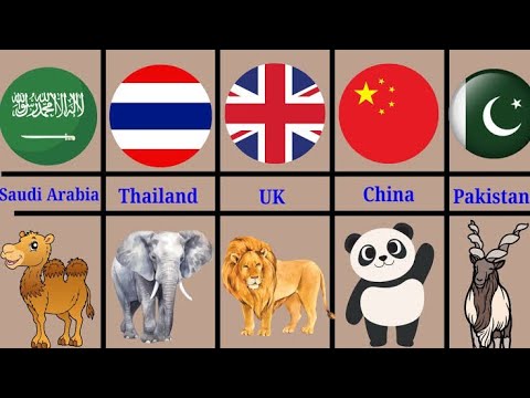 National Animals of Different Countries | World Facts - YouTube