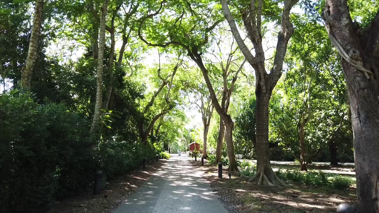Deering Estate - YouTube