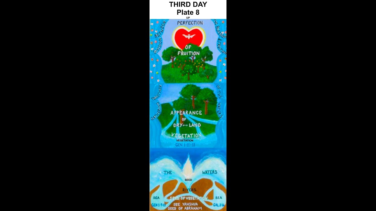 IDMR Lansing EAOPU Vol I pg 61 (Explaining) Third Day of Creation - YouTube