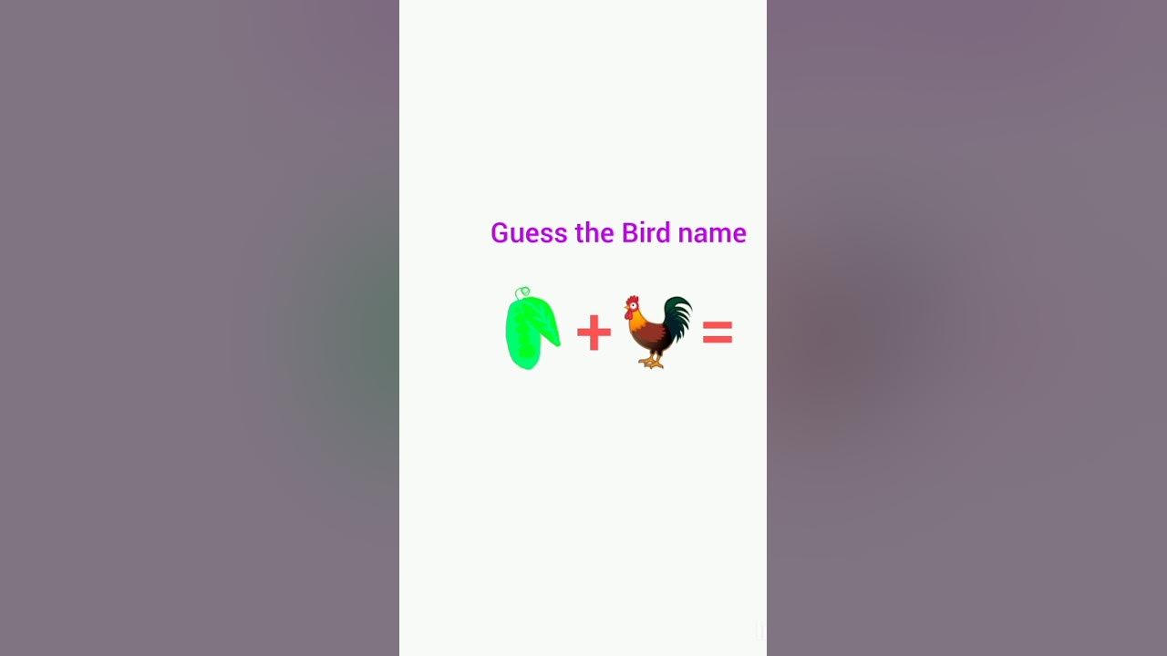 Guess Bird Name viral YouTube guess-bird-name-viral-youtube