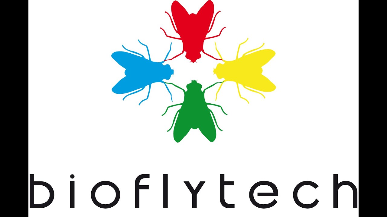 Presentación de Bioflytech - YouTube