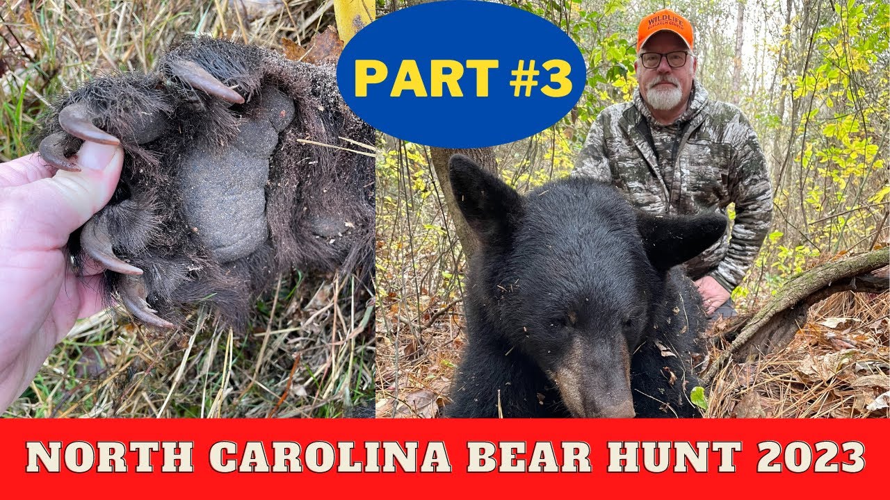 Bear hunting the dismal swamp with Doug Temple | Part 3 - YouTube