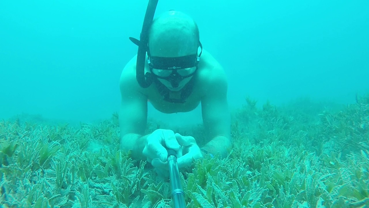 Freitauchen entspannte 10,2m - YouTube