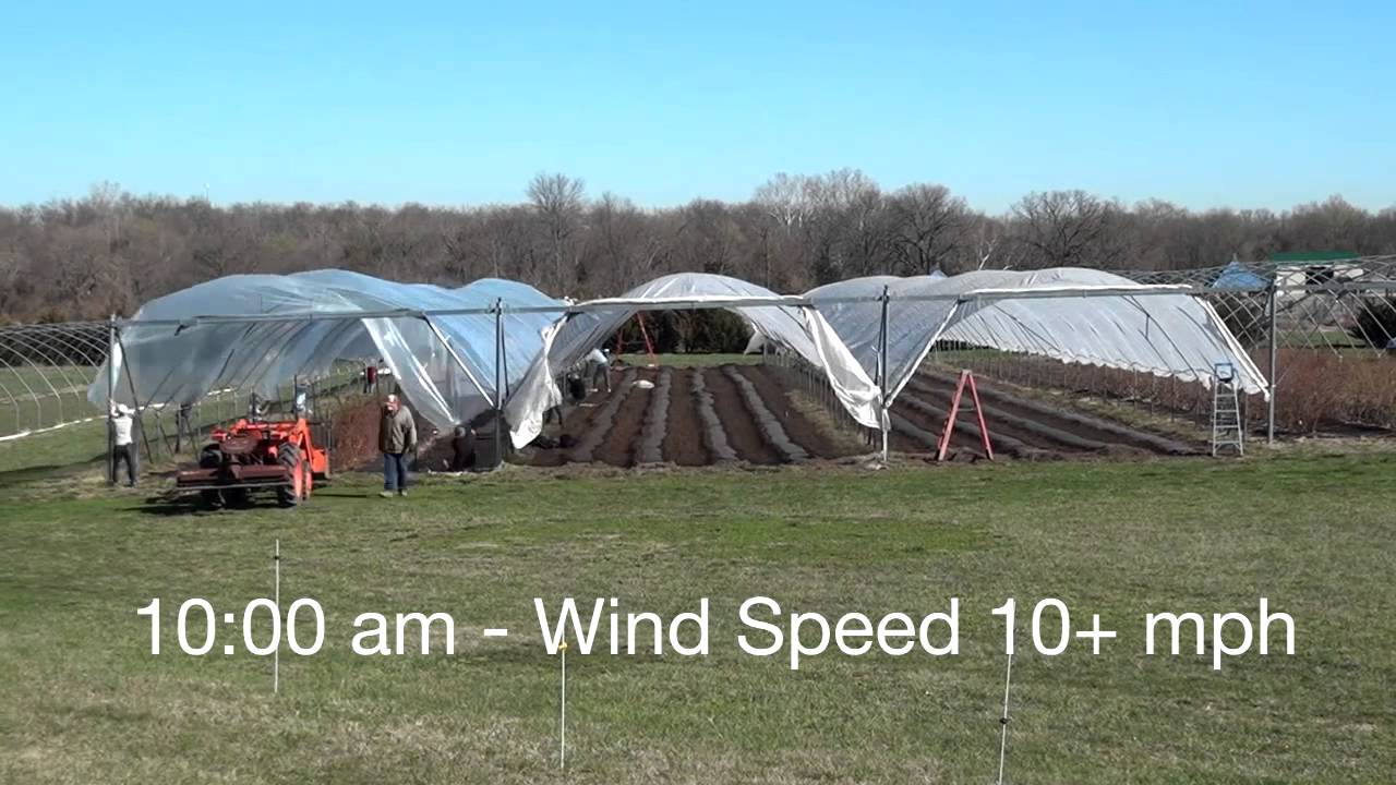 Covering 3 of 4 Bays of a 3-season Haygrove High Tunnel - YouTube