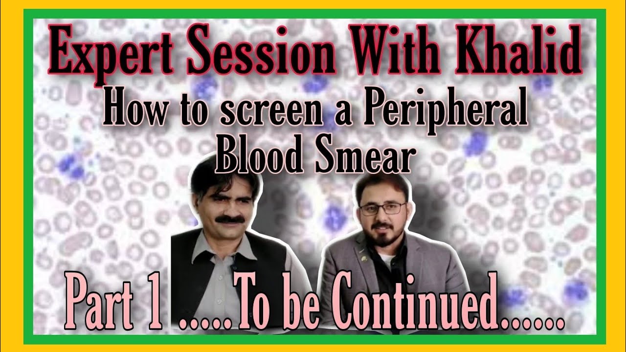 Peripheral Blood smear morphology Interpretation - YouTube