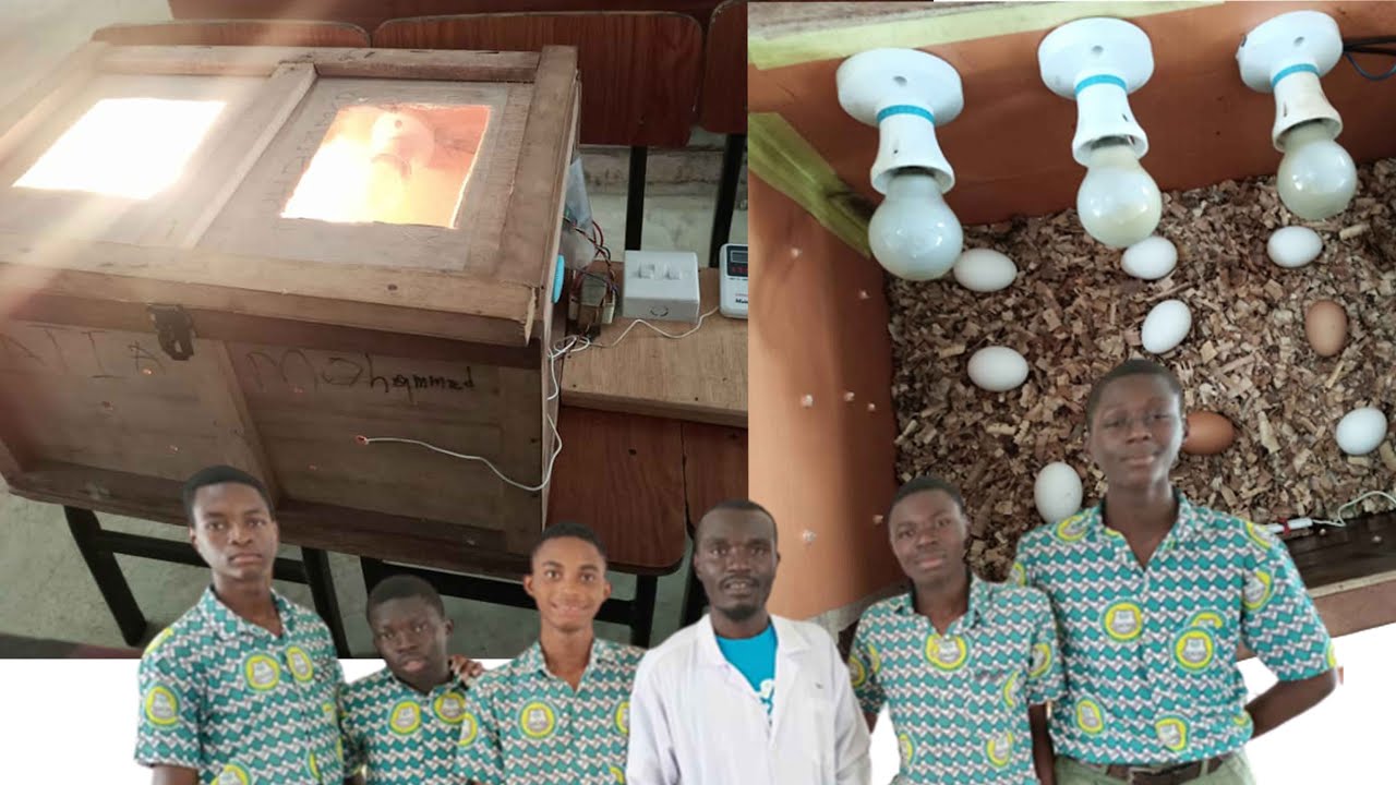 LOCALLY-MADE AUTOMATED INCUBATOR FOR HATCHING EGGS - YouTube