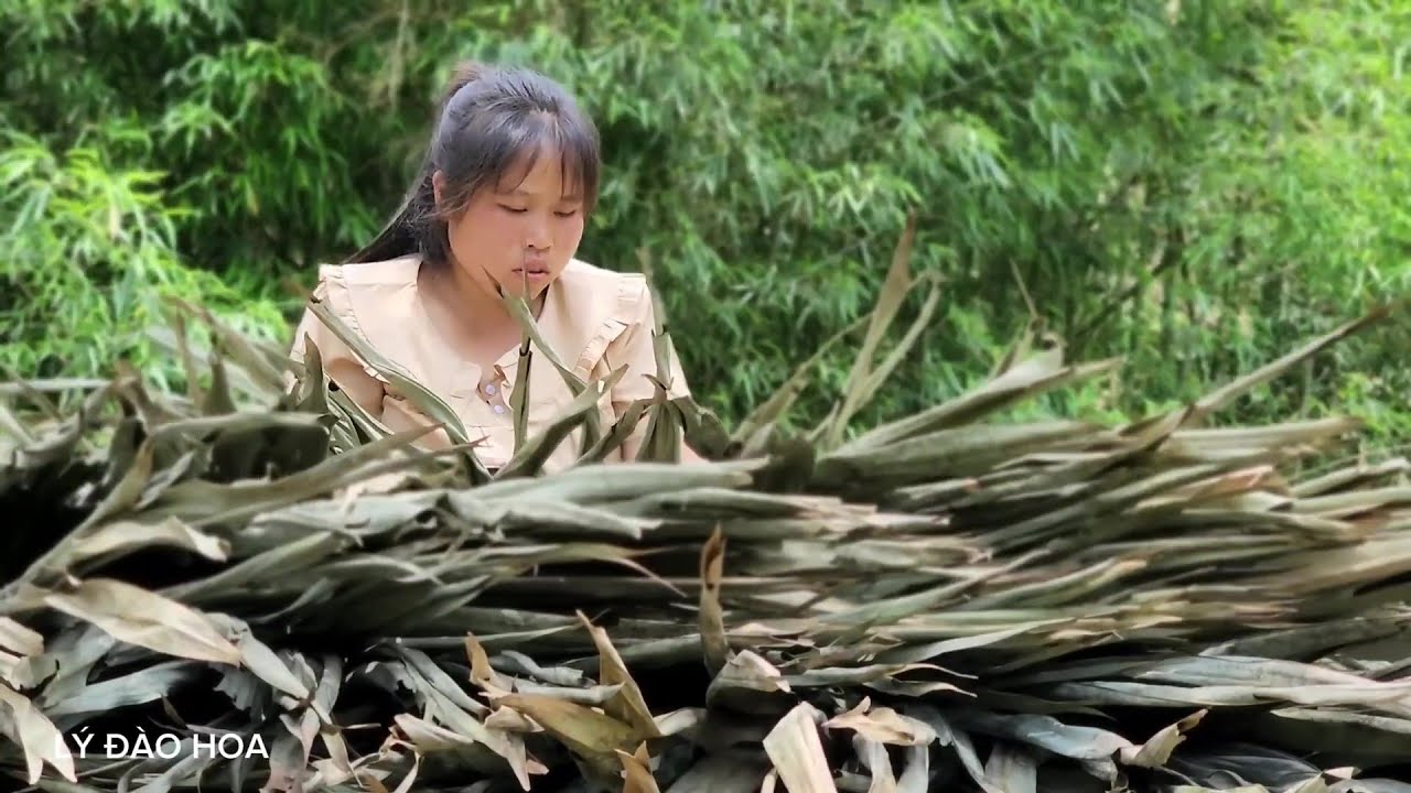 Watch How This Jungle House Was Built From Scratch! - YouTube
