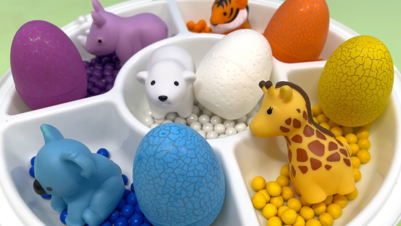 Zoo Animals Sensory Tray with Colors for Kids 🐯 - YouTube