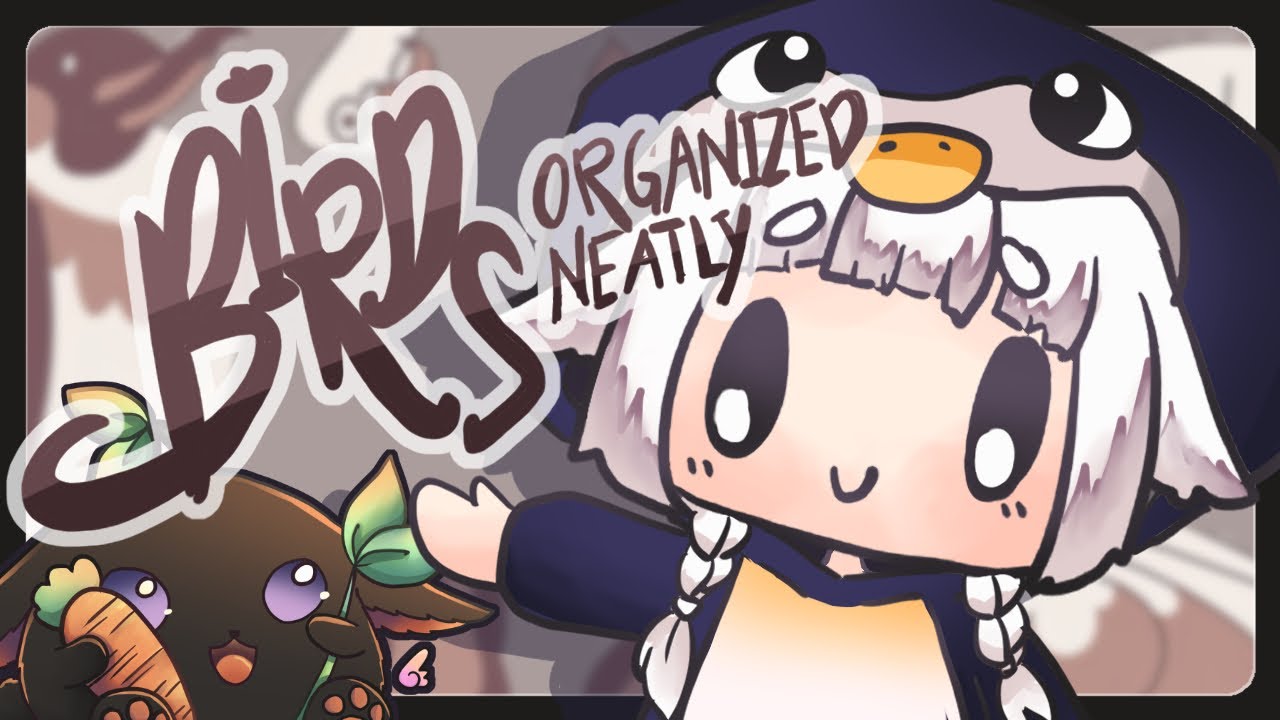 🔴【Birds Organized Neatly + Free Talk】Just Like Birds, Did Your 2024 Go ...