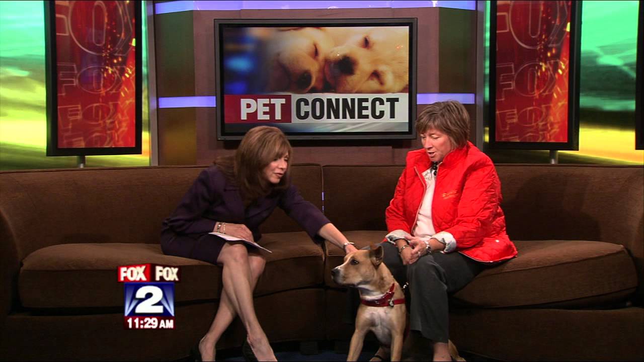 2011 09 19 SHERRY MARGOLIS - YouTube