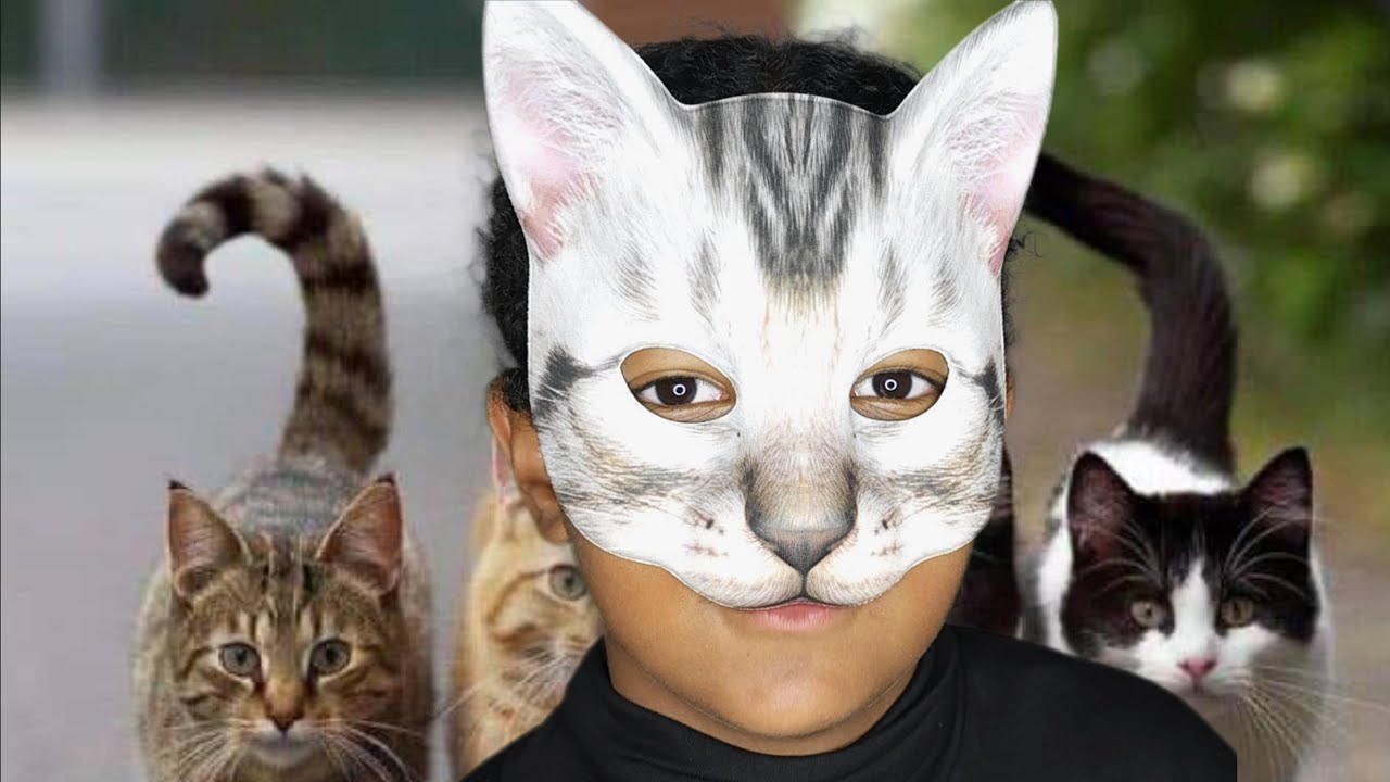 Chanz Smith Bermuda SPCA Compassion School P4 project - YouTube