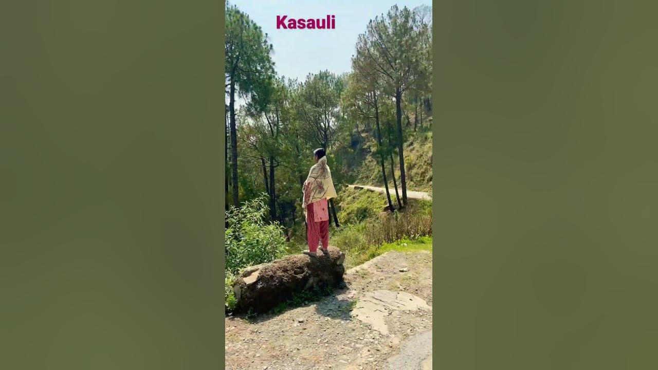 Travel Himachalpradesh Naturelovers Naturephotography Shorts Youtube