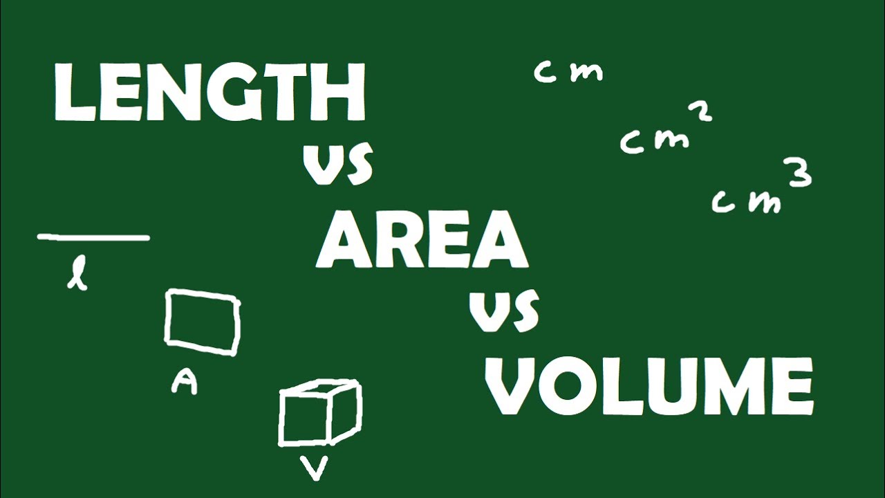 Relationships Between Length, Area, and Volume/1D, 2D, and 3D - YouTube
