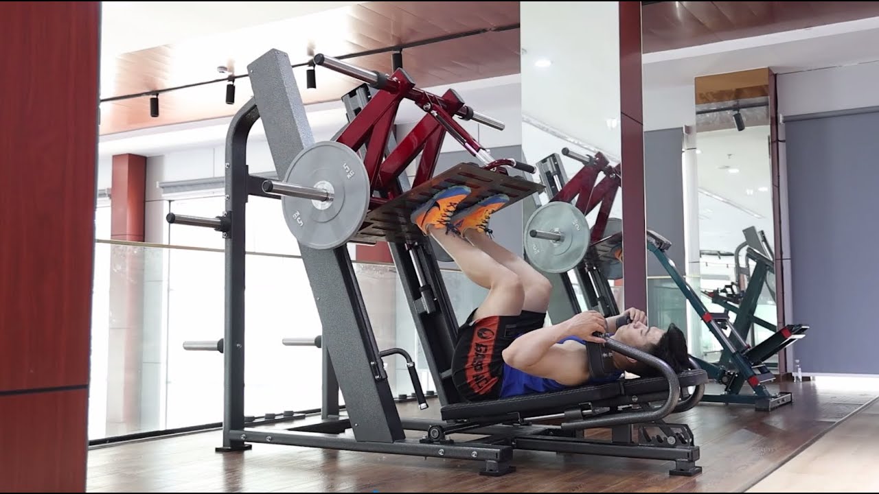 MP-8149 70 Degrees Leg Press | Power Up Your Legs & Glutes 🍑 #legpress ...