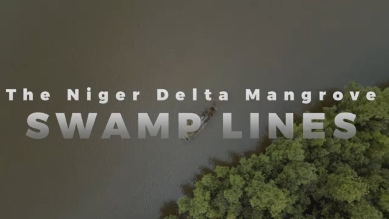 The Niger Delta Mangrove Swamp Lines: A Mysterious Phenomenon - YouTube