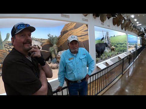What's this Monster Alligator Doing in Southern Utah??? - YouTube