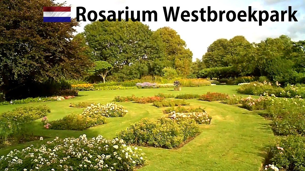 HOLLAND: Rosarium Westbroekpark - Den Haag - YouTube