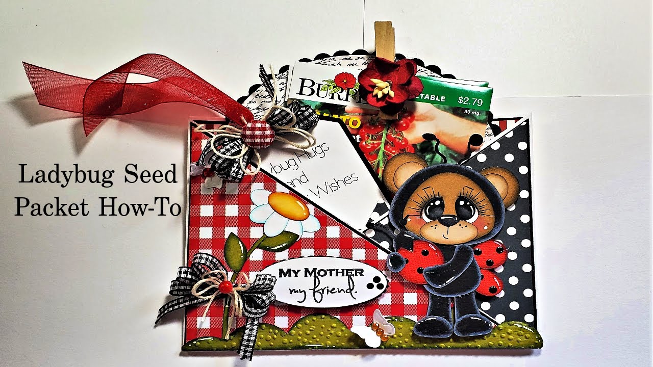 Ladybug Seed Packet Crisscross Card Process Video - YouTube