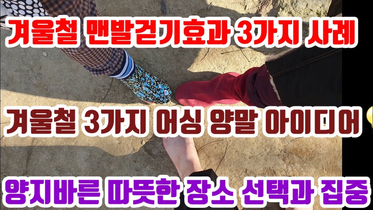 겨울철 영하속 맨발걷기효과 사례모음 겨울철 맨발걷기 방법 양지바른 곳 선택과 집중 어싱양말 버선 등 마련해 꾸준히 실천 겨울철