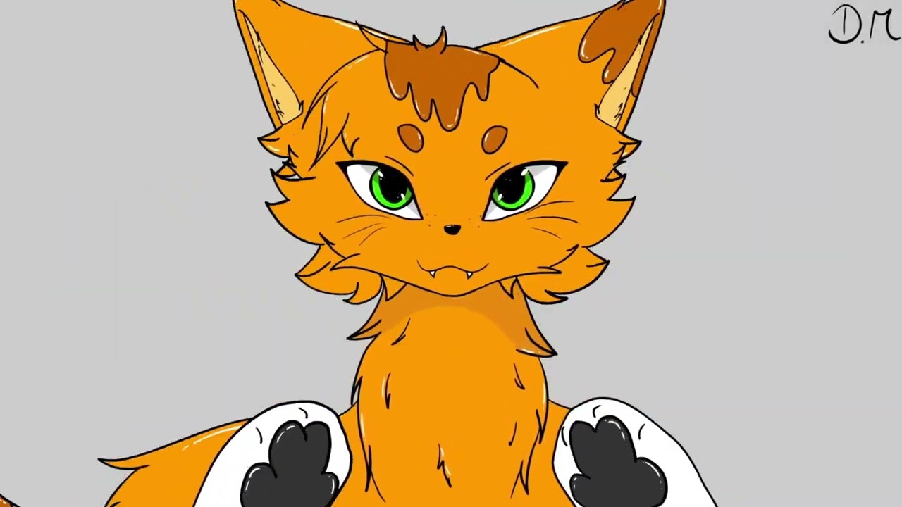Cats // Animation meme - YouTube