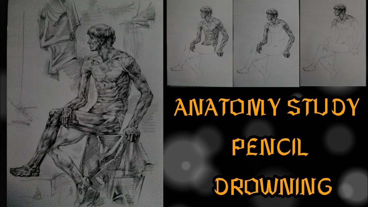 ANATOMY STUDY WITH PENCIL SHADE|||human anatomy||| PENCIL DROWNING ...