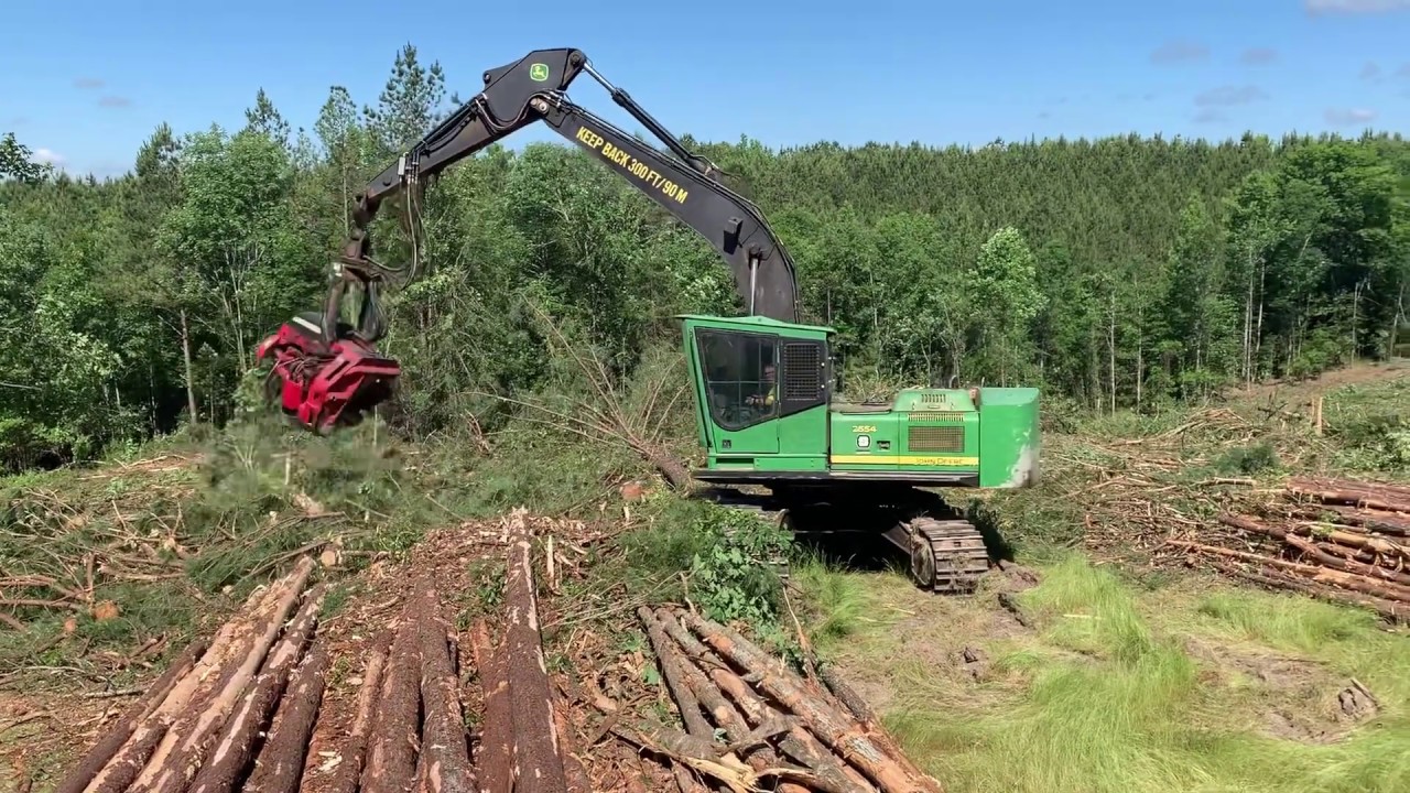 Tigercat 830 tree cutter mowing trees down! - YouTube