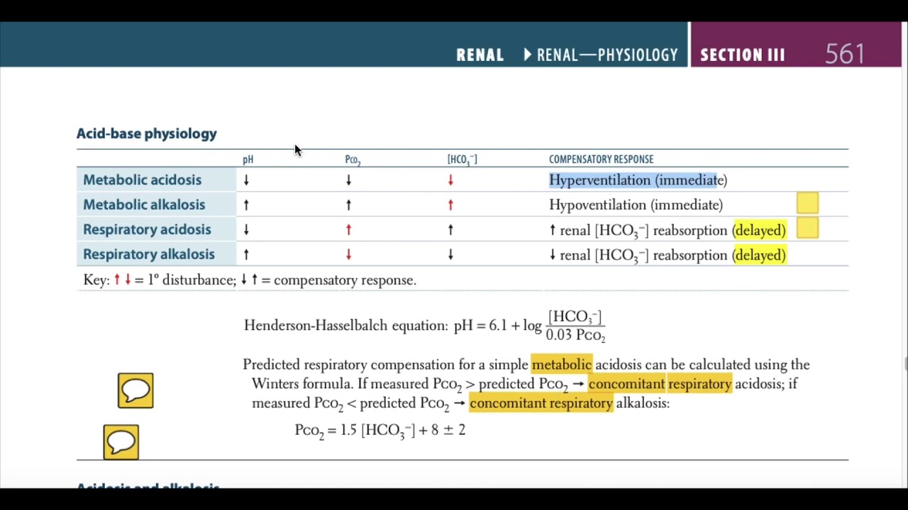 Acid Base Physiology Metabolic/Respiratory Alkalosis/Acidosis Renal ...