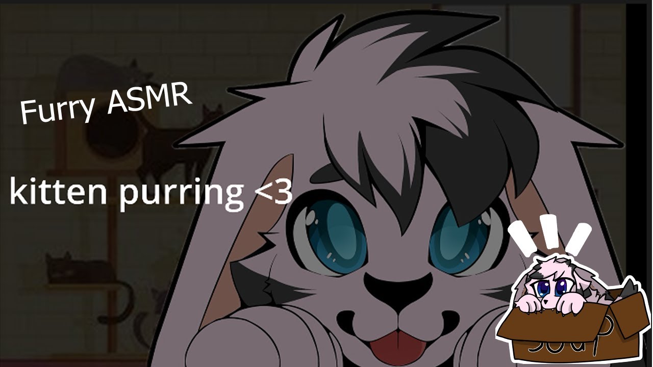 [Furry ASMR] Kitten purrs in your ear [real cat sounds] - YouTube