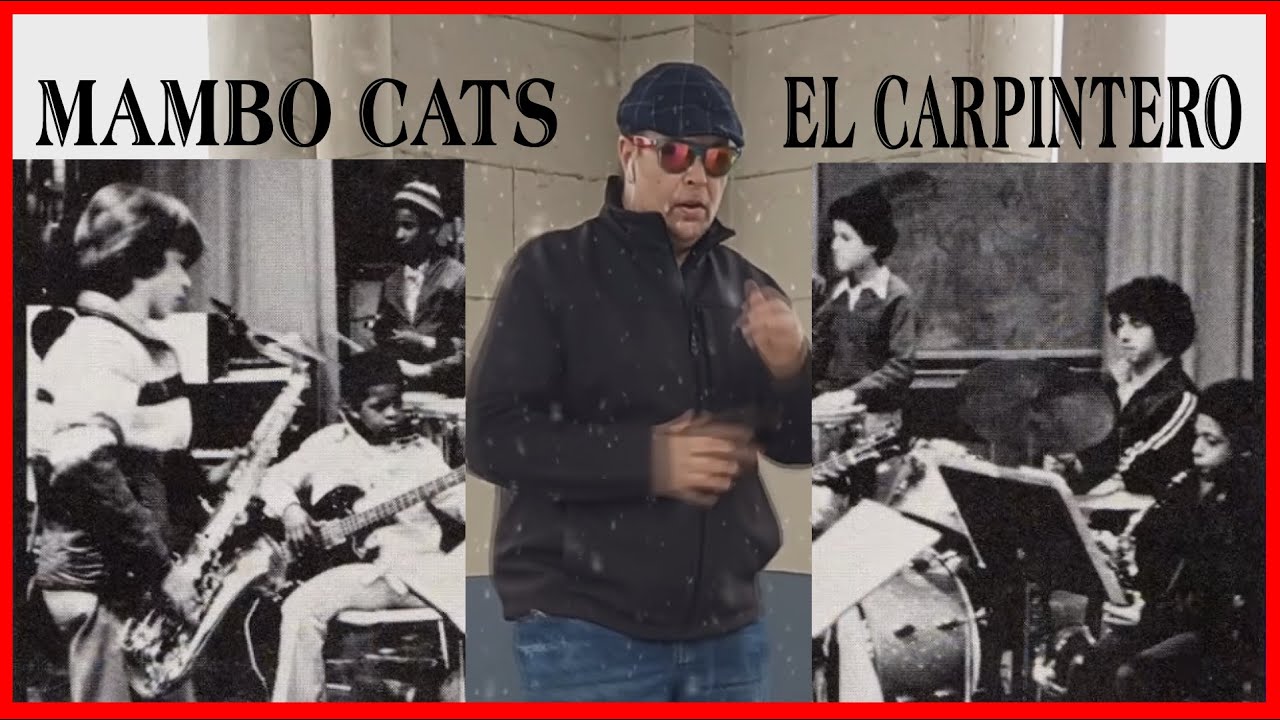 MAMBO CATS - EL CARPINTERO (OFFICIAL MUSIC VIDEO) #mambocats # ...