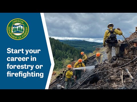 Start your career in forestry or firefighting as a Forest Crew ...