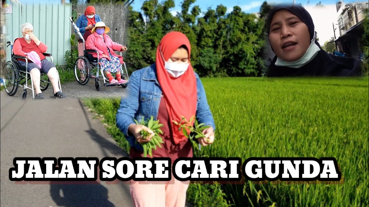 JALAN"SAMBIL CARI SAYUR GUNDA....!!!! - YouTube